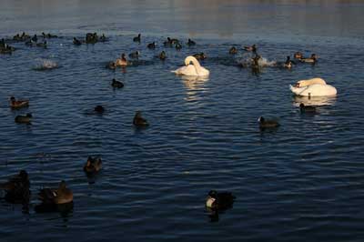 ≈ GHiii - Gerald Huber. art inspirations ≈