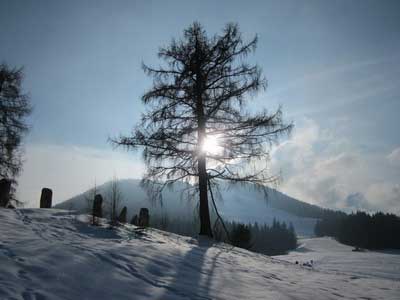 ≈ GHiii - Gerald Huber. art inspirations ≈