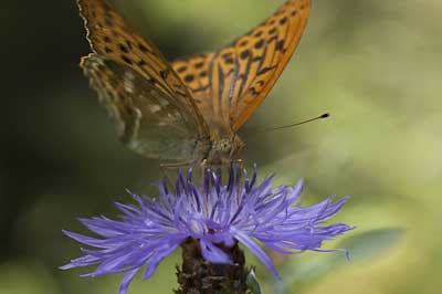 ≈ GHiii - Gerald Huber. art inspirations ≈