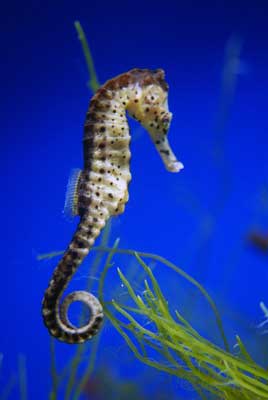 ≈ GHiii - Gerald Huber. art inspirations ≈