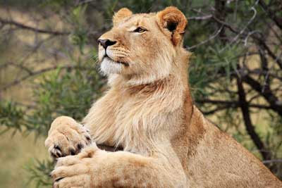 ≈ GHiii - Gerald Huber. art inspirations ≈